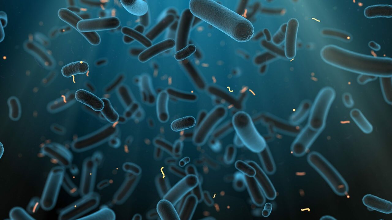 EcoCyc: Encyclopedia of E. coli genes and metabolism - SRI