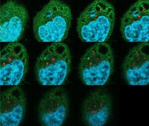 Biological assay development and validation - SRI International